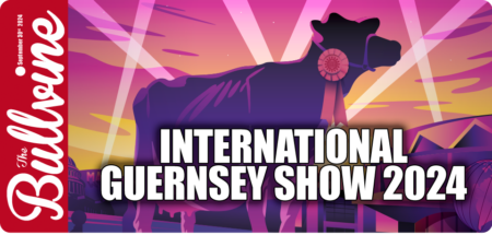 International Guernsey Show 2024