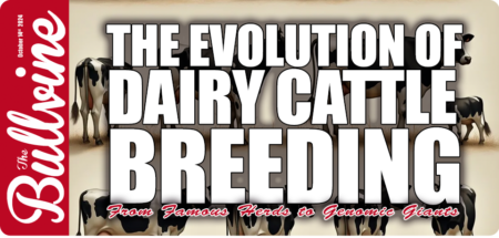 Free Subscription