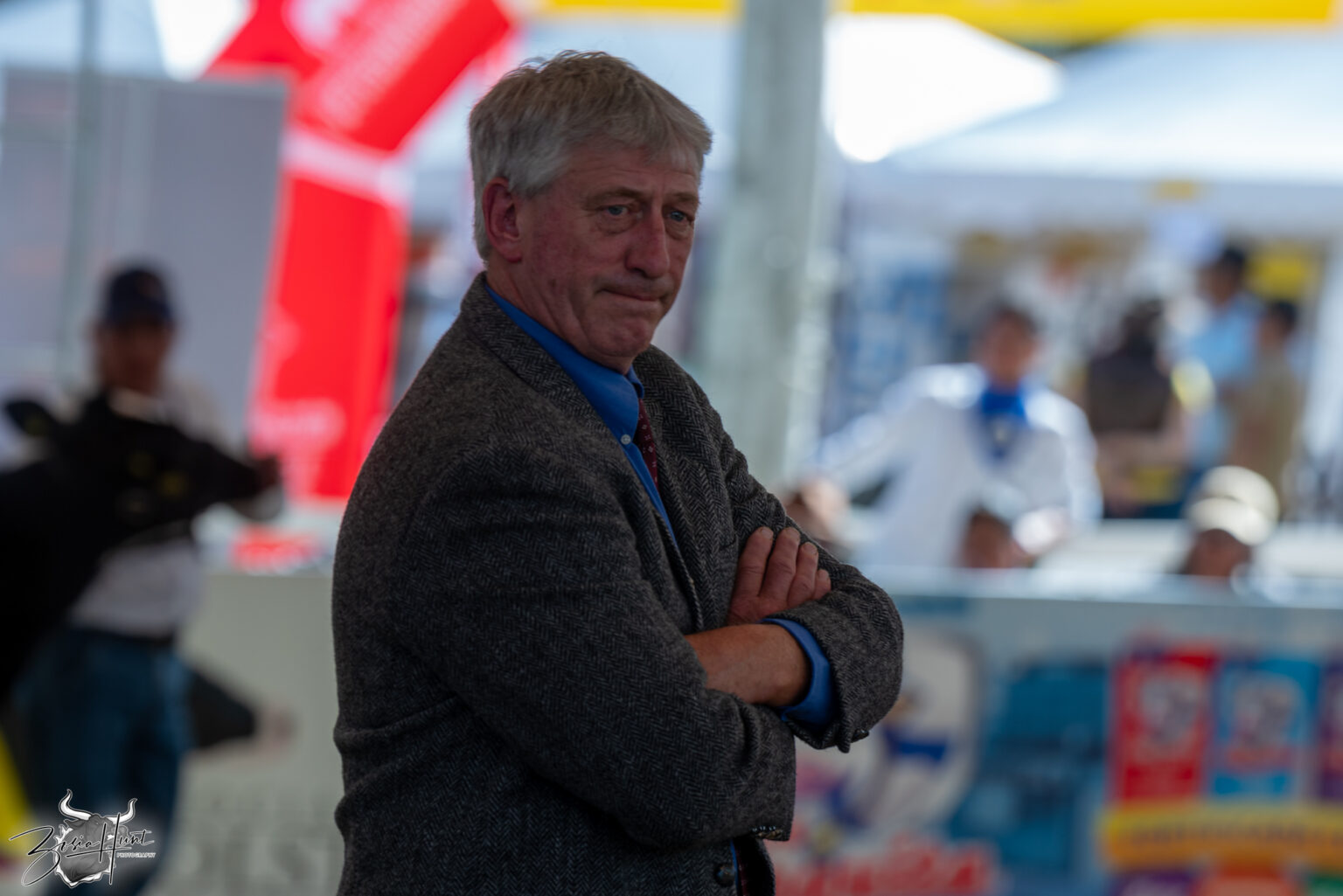 “The farther back you are, the better you can see them,” McKinven ...