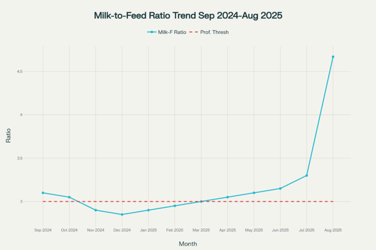 The hero of the day – Southeast Asia can’t get enough of this stuff