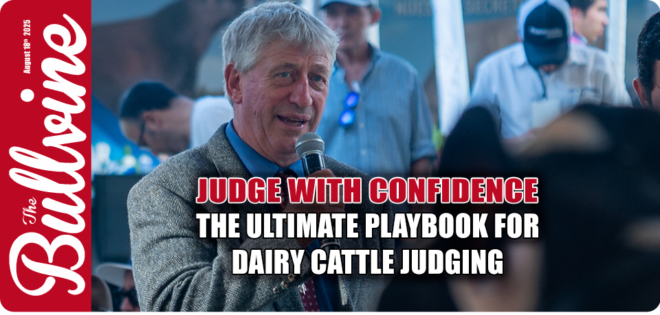 dairy cattle judging, showmanship tips, ringcraft, judging confidence ...