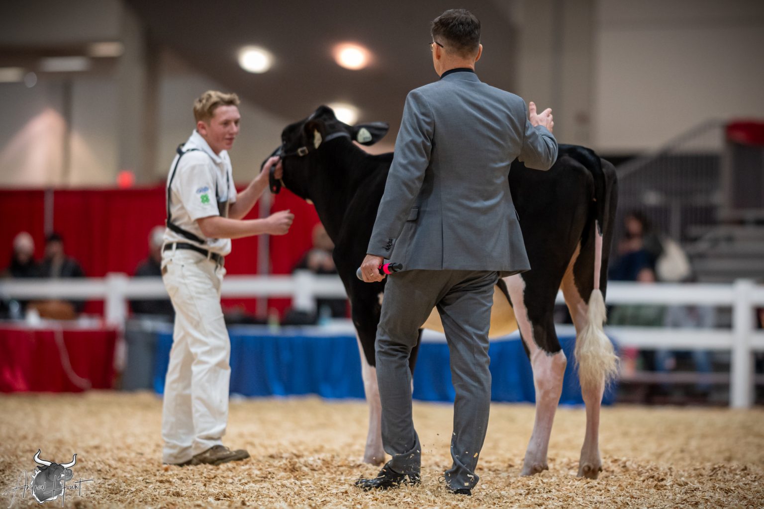 Keurmeesters: De conformatieklassen werden verzorgd door Markus Hehli ...