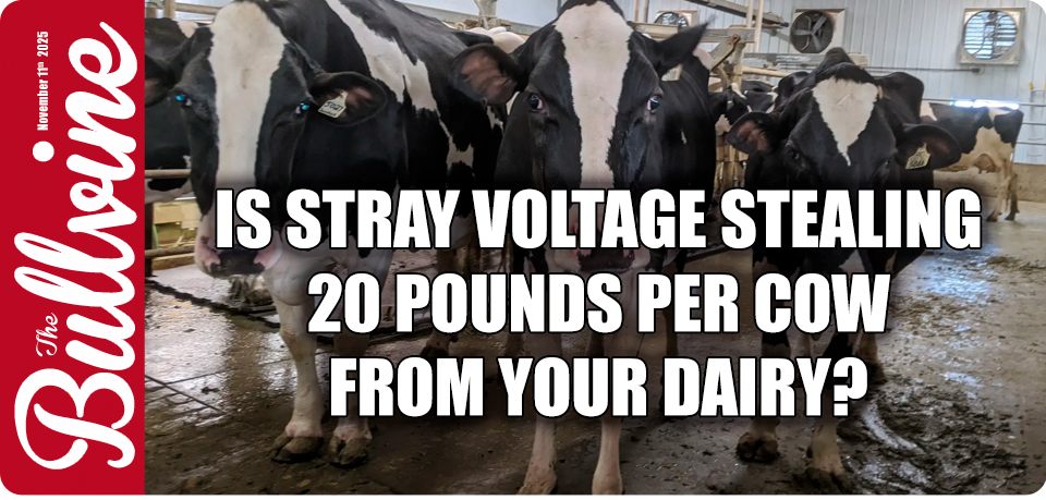 Dairy Stray Voltage