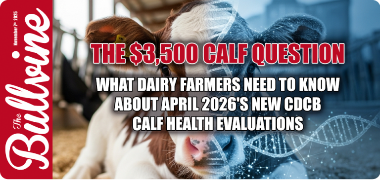 Jetzt kostenlos abonnieren