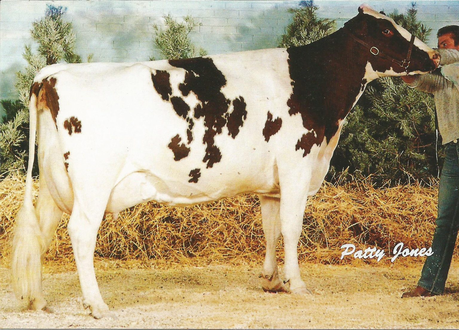 But the daughters built empires too.