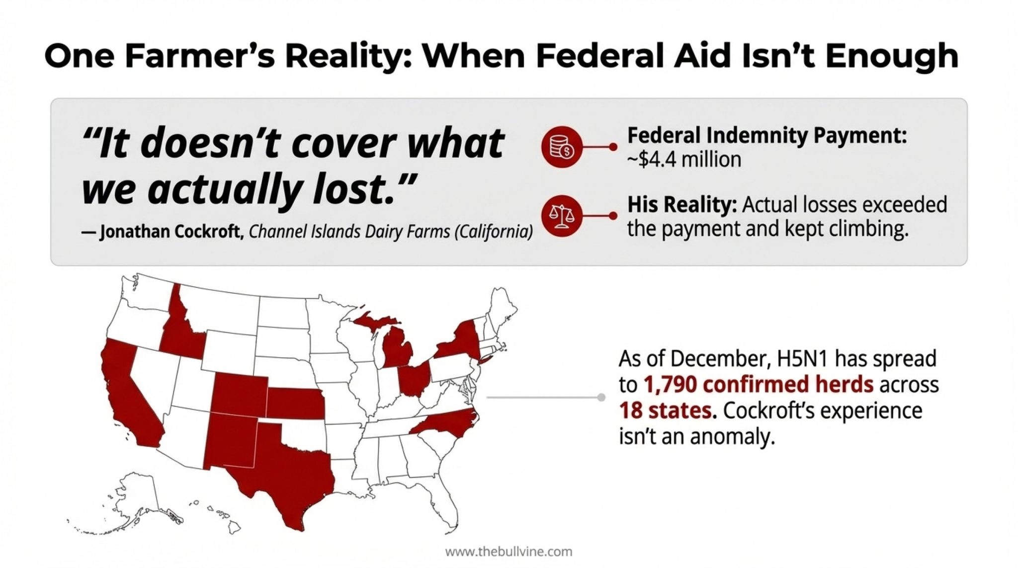 Desarrollo de vacunas bovinas | The Bullvine