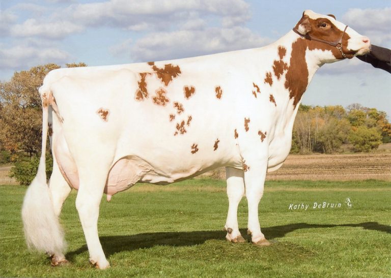 From New York to the World