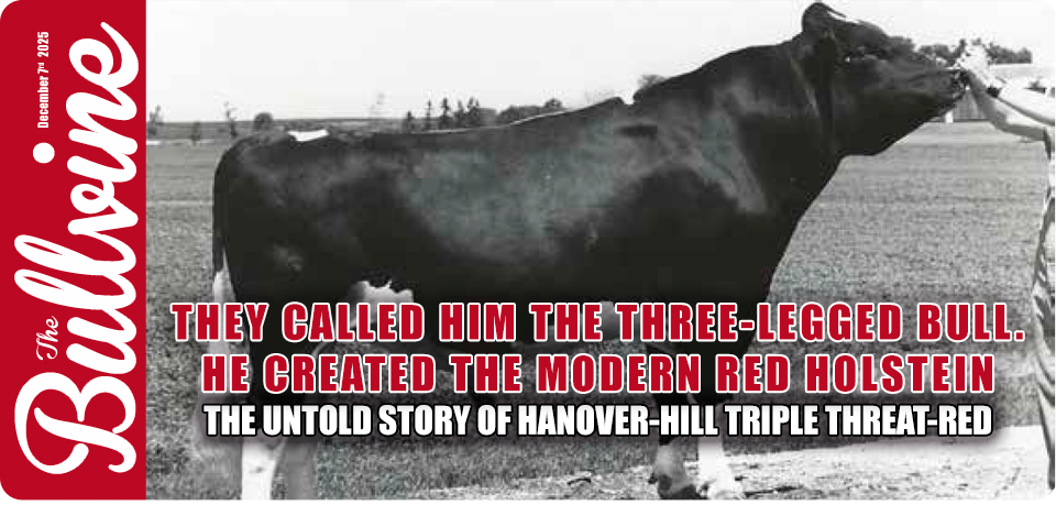 Red Holstein genetics