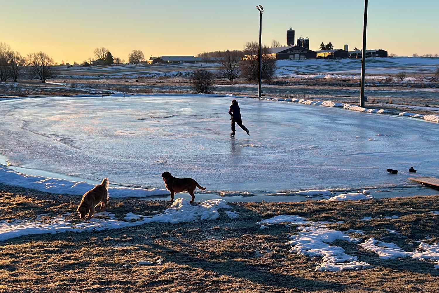 Porque eso es lo que hacen los Martins.