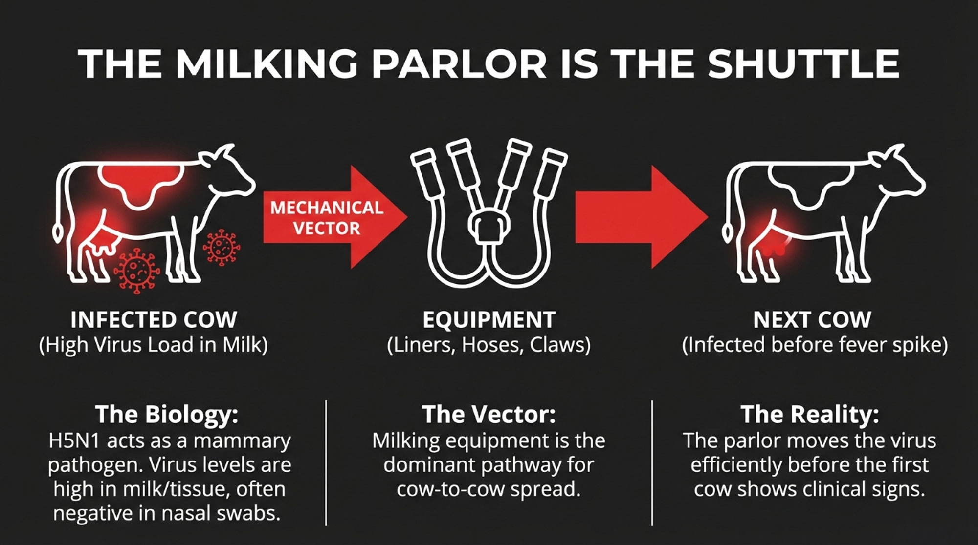 In plain terms, once an infected cow is in the string, your parlor can ...