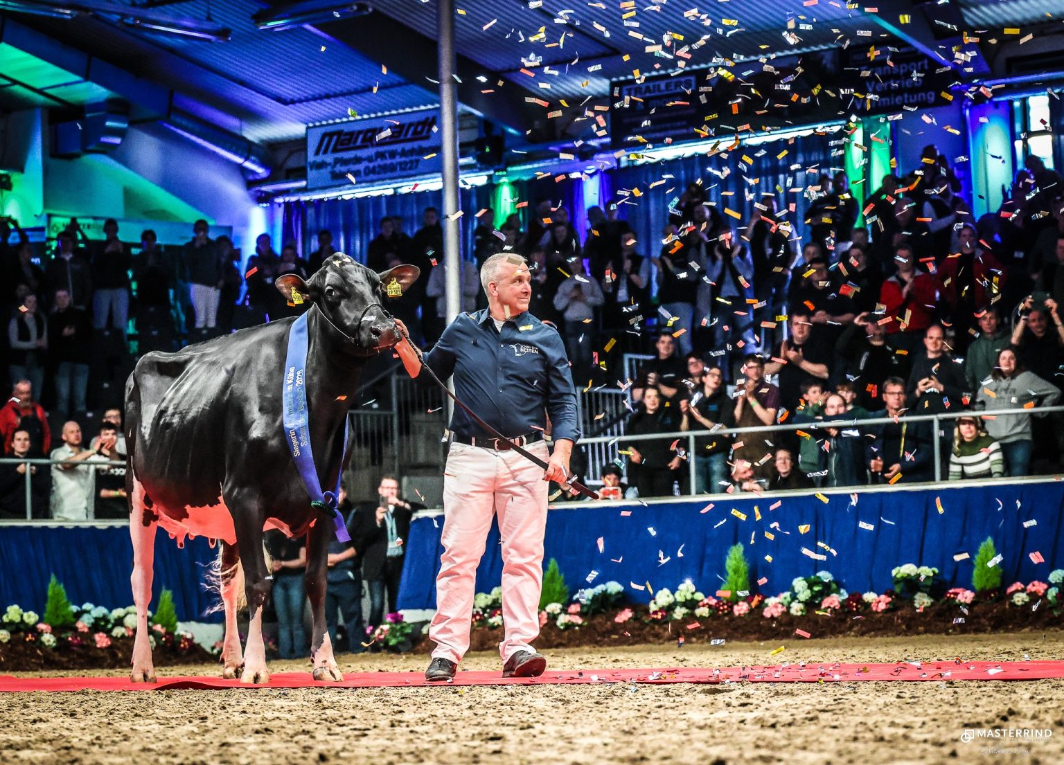 Louella just went Grand at Schau der Besten 2026 — on an O’Kaliber sire ...