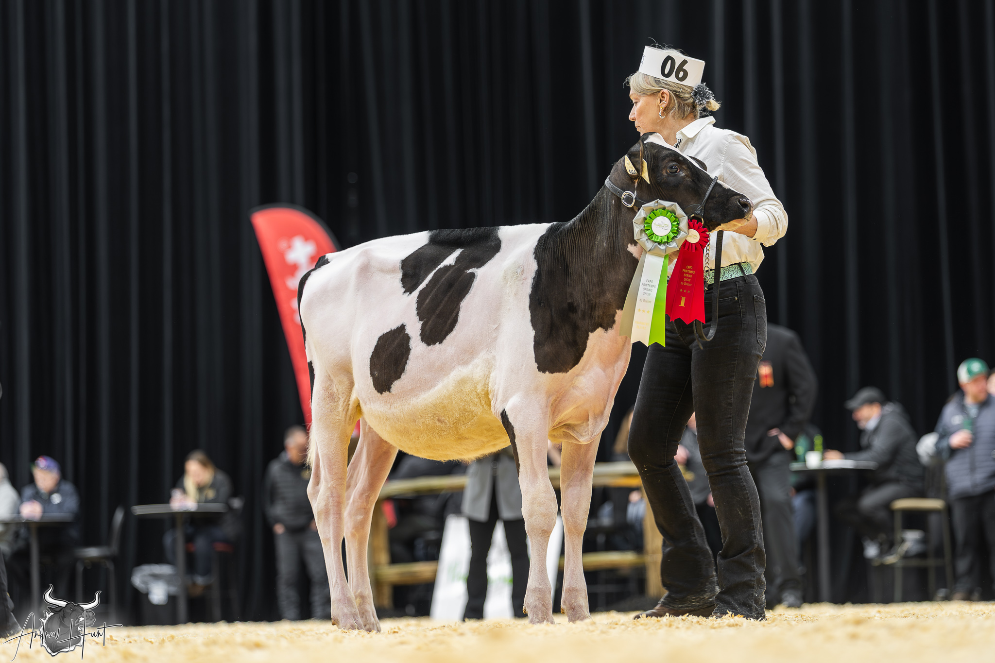 VELTHUIS LAMBDA VALOROUS, HOCANF15378394